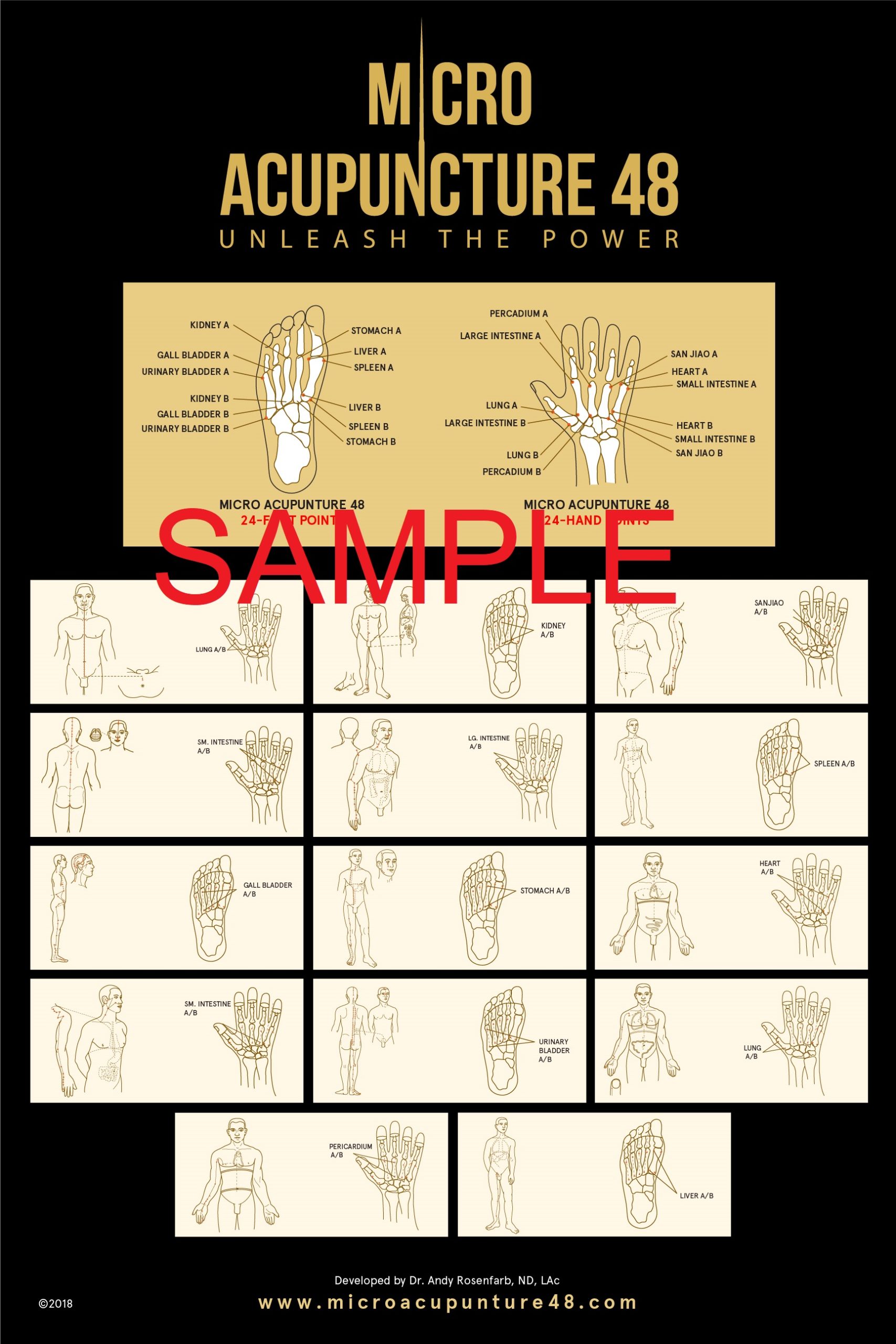 Micro Acupuncture 48 - AcuVision Acupuncture!