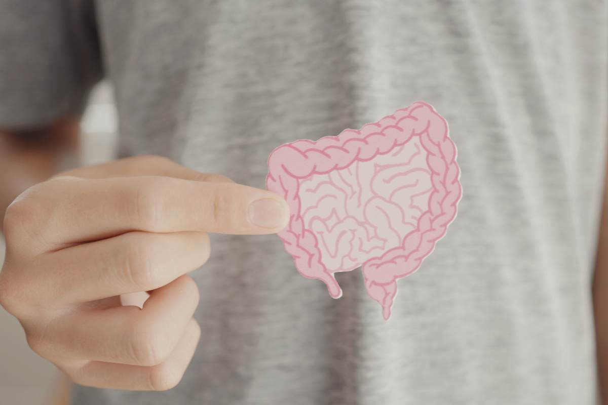 Understanding the Crucial Link Between Gut Health and Vision ...